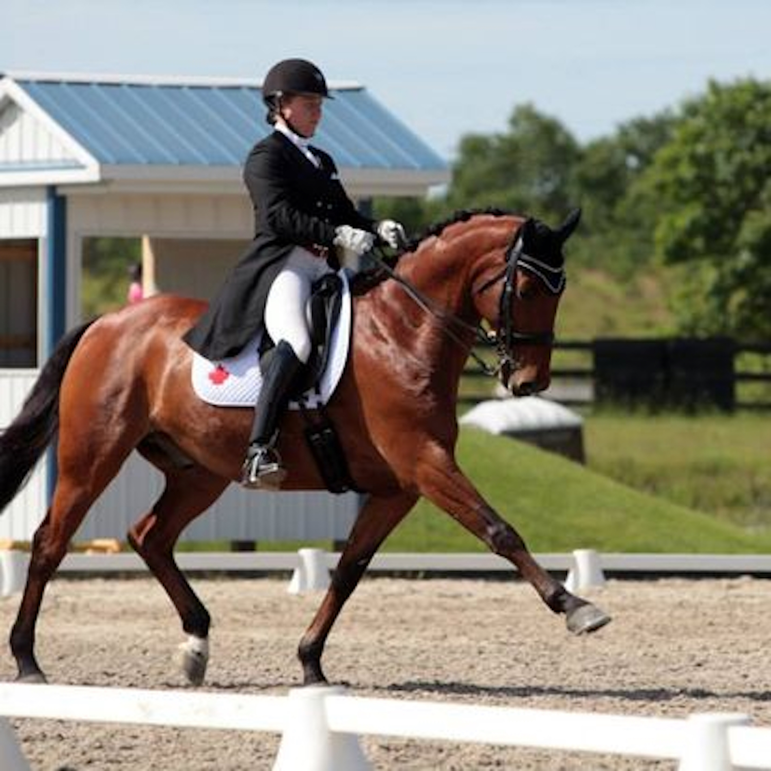 Maya Markowski, thoughts on educating young people, and teaching a ...